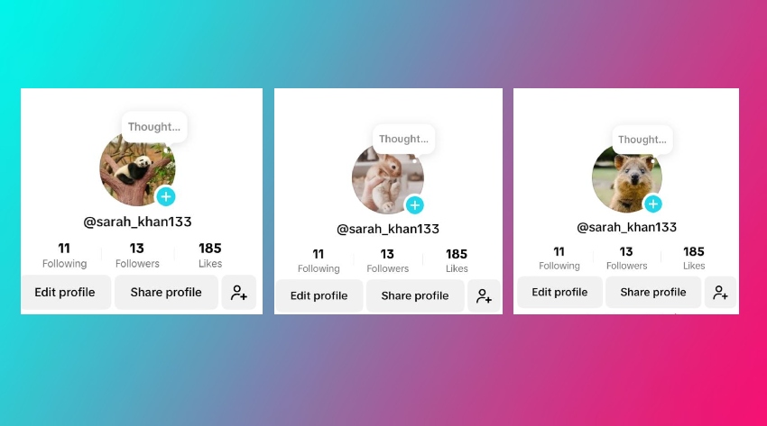 10 TikTok Profile Picture (PFP) Ideas with Examples