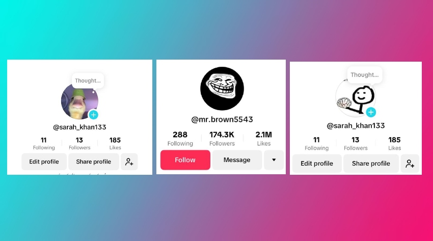10 TikTok Profile Picture (PFP) Ideas with Examples