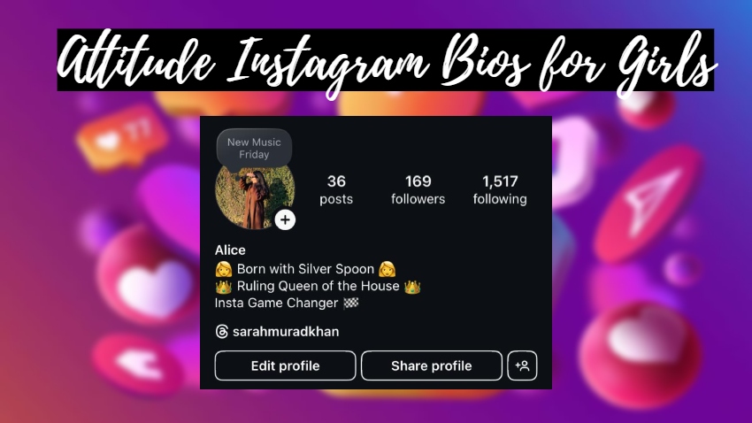 400+ Inspiring Instagram Bio Ideas for Girls / Women